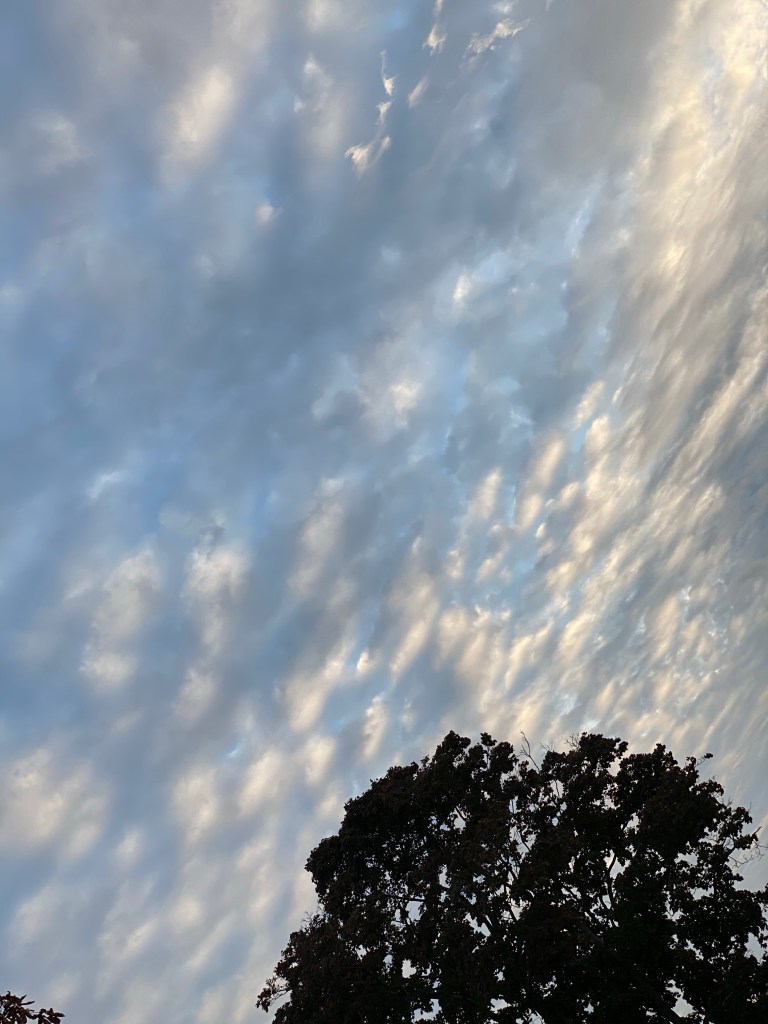 “Slanted View” - ProCrasstheNation